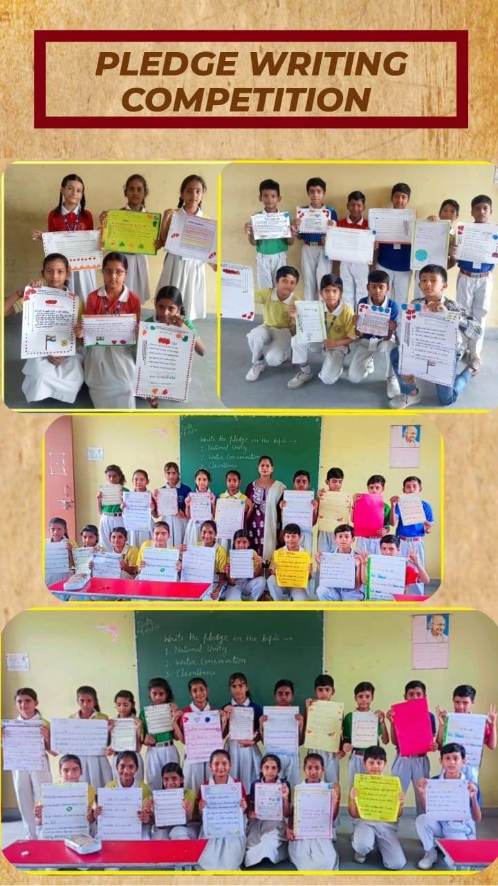 'PLEDGE WRITING COMPETITION' - PD Public School